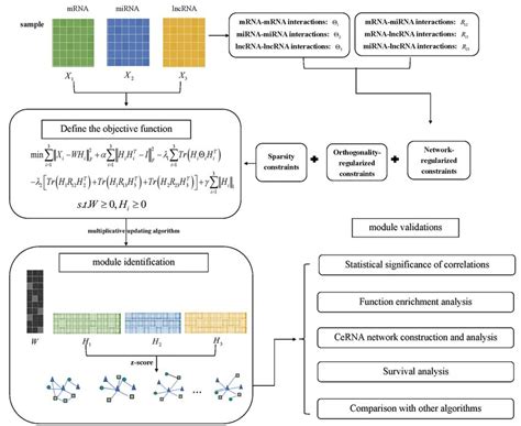 The Overall Workf Low Of Nsojnmf Algorithm For Detecting Cerna Co