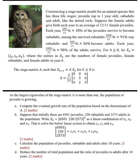 Solved Linear Algebra Hello Can Someone Please Solve These