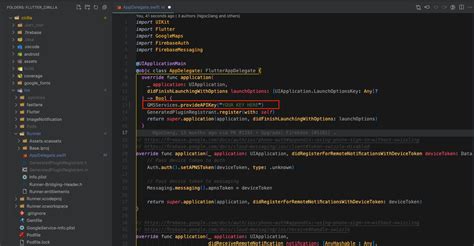 Update Google Maps API Key Appcheap