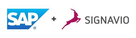 Signavio Blog Dalrae Solutions