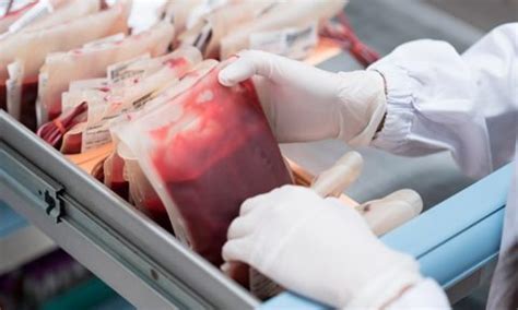 ¿cómo Funciona Un Banco De Sangre Grupo Esneca