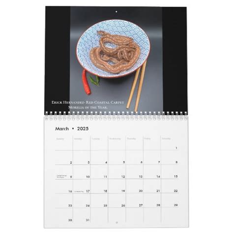 2024 Morelia Python Radio Calendar Zazzle