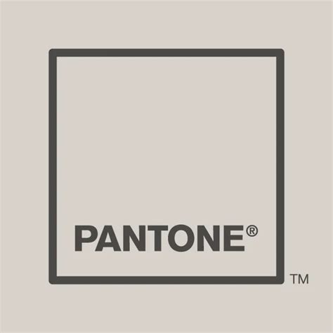 Pantone® Usa Pantone® Warm Gray 1 C Find A Pantone Color Quick
