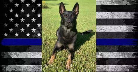 Bryan Booth Posted On Linkedin