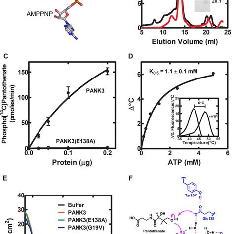 Representation Of Protein Protein Interfaces In 3d Structure Complex