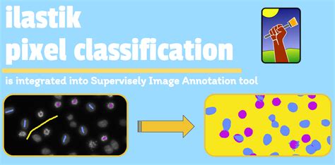 Github Supervisely Ecosystemilastik Pixel Classification