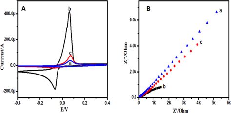 A Cyclic Voltammograms Of Aptamer Unmodified And Modified Electrode In Download Scientific