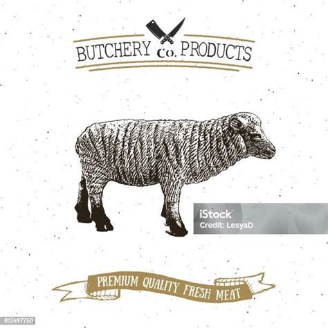 정육점가 게 빈티지 엠 블 럼 양고기 고기 제품 도살 아이콘 템플릿 복고 스타일 Icontype 레이블 배지 및 브랜드 디자인에 대 한 빈티지 디자인 벡터 일러스트 레이 션