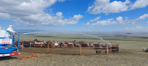 Говь Алтай Говь Алтай аймгийн Мал эмнэлгийн газар