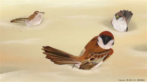 단편 애니메이션 파란 깃털 발견했다 추가 캐스팅 2명 발표