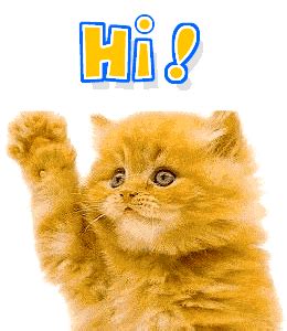 Hello Graphic Animated  Pics Hello 8171989