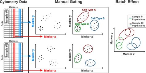 Figure 1 From Gatenet A Novel Neural Network Architecture For Automated Flow Cytometry Gating