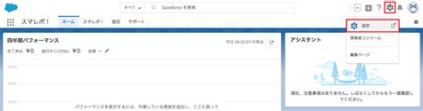 Step1 Visualforceページの作成と権限の設定 Smart Report Meister ヘルプ