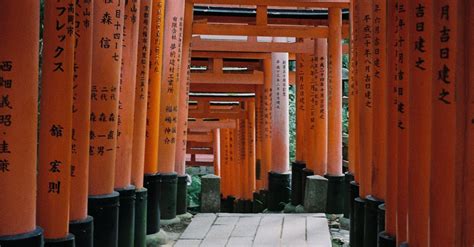 건축 경치 경치가 좋은 고요한 관광 관광 명소 교토 교토부 도리이 게이트 도시의 랜드마크 명상 목조 구조 문화 유산 문화적 사당 상징적 인