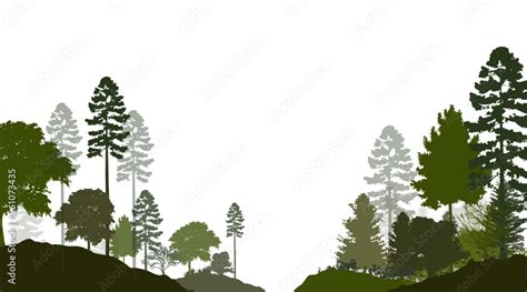 Forest Silhouette Trees Vector Illustration Of Every Tree Isolated Evergreen Forest Side View