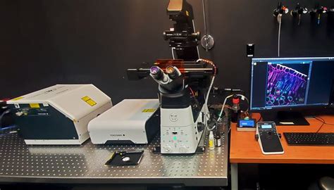 News Quantitative Light Microscopy Core Facility Ut Southwestern Dallas Texas
