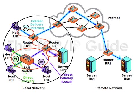 Network 01 Network Models