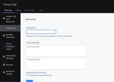 Your Unified Interface For Application Delivery With Tanzu Hub Tanzu