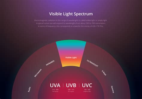 Light Spectrum Free Vector Art 11218 Free Downloads