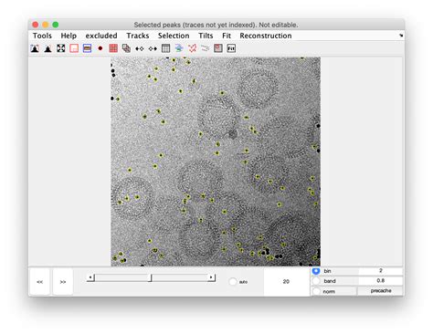 File AlignGUI MarkerPositionsAfterClustering Png Dynamo