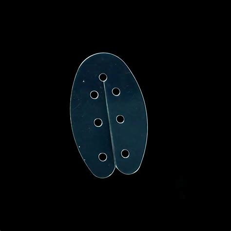 Bivalve Nasal Splint At Rs 4000 In Mumbai Id 14865033133 Bivalve Nasal Splint At Rs 4000 In Mumbai Id 14865033133