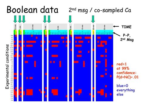 Ppt Boolean Networks And Experiment Design B Cell Single Ligand Screen Powerpoint Presentation