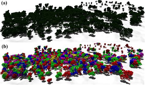 Abefore And Bafter Segmentation Of A Small Area Of Forest Point Clouds Download