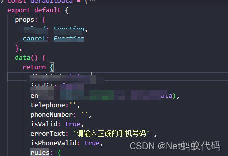 Vue中给输入框加入js验证 blur失去焦点进行校验