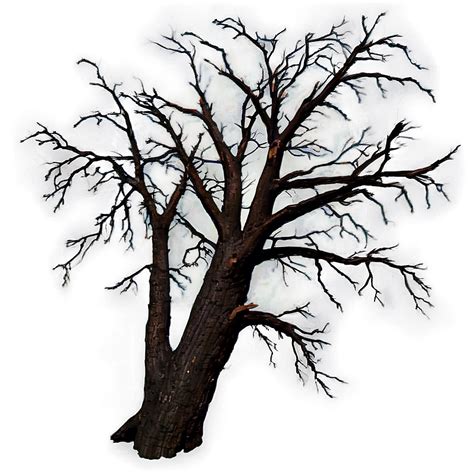 Download Dead Tree In Storm Png 11 Wallpapers Com