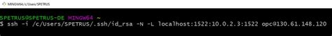 Connect Sql Developer To Oracle Cloud Databases In Private Subnets