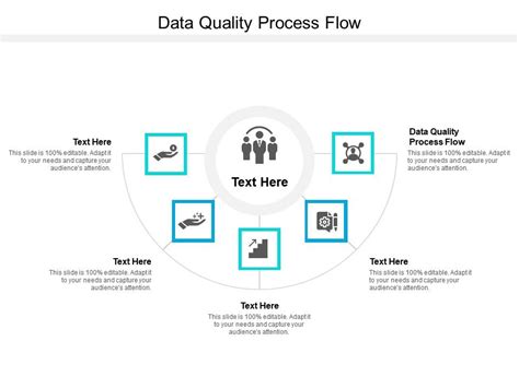 Data Quality Process Flow Ppt Powerpoint Presentation Infographics