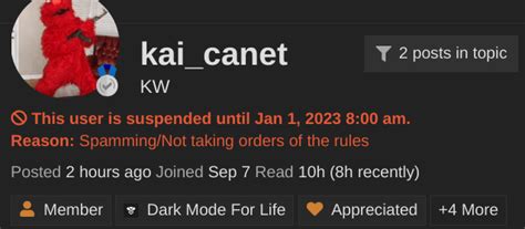 What Happen General Discussion Custom Cursor Community