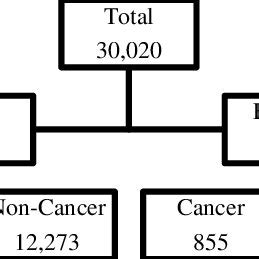 Probit Coefficient Estimates A Sample Of Married Download Scientific Diagram