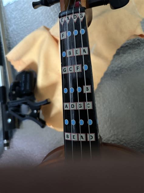 Call It What You Will But Rfiddle