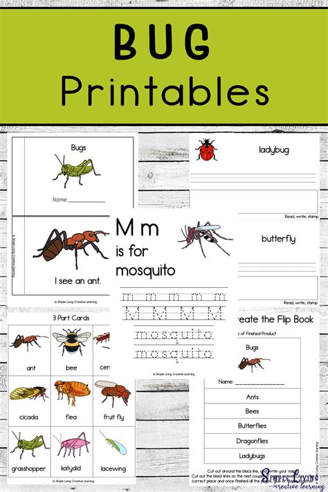 Bug Printables Simple Living Creative Learning