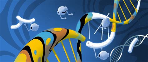 How Randomness Improves Algorithms Quanta Magazine