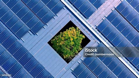 공장 금속 지붕 구조와 중간에 있는 나무의 태양 전지판 구조 재생 가능 에너지 및 환경 태양전지판에 대한 스톡 사진 및 기타 이미지 태양전지판 환경 사회 지배 구조