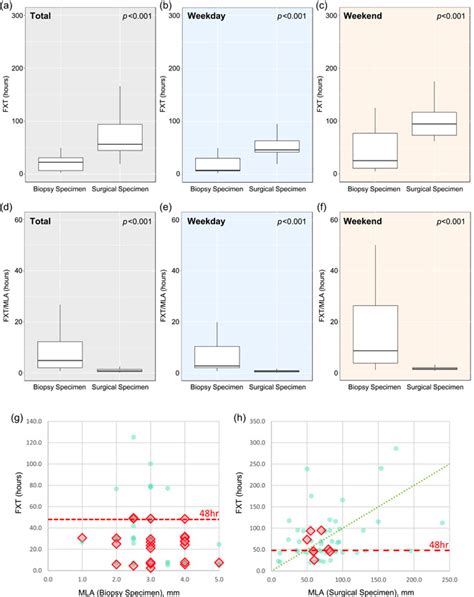 The Risk Of Weekend Biopsy Impact Of Specimen Source And Fixation Status On HER2 Assessment In