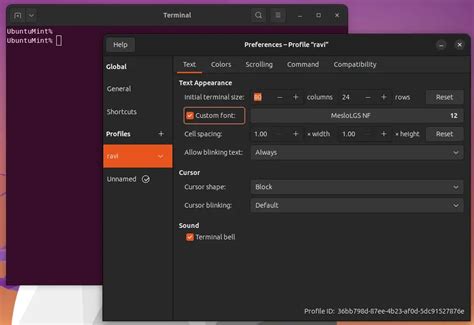 How To Setup Zsh Oh My Zsh Powerlevel10k In Ubuntu
