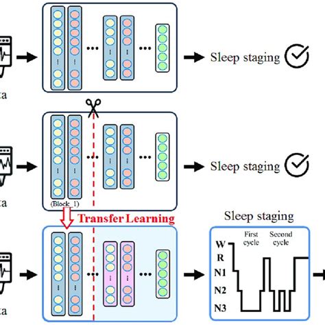 Pdf Cross Domain Transfer Of Eeg To Eeg Or Ecg Learning For Cnn