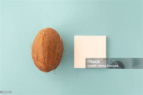 플랫 레이 여름 배경 파란색 배경에 흰색 빈 코코넛 디자인여름 템플릿 0명에 대한 스톡 사진 및 기타 이미지 0명 가리기 개념 Istock