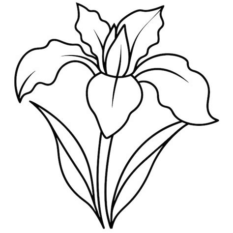 Иллюстрация вектора радужной оболочки Премиум Ai сгенерированный вектор