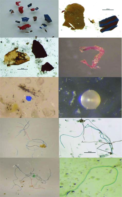 1 Examples Of Different Types Of Microplastic Particle I E Granules