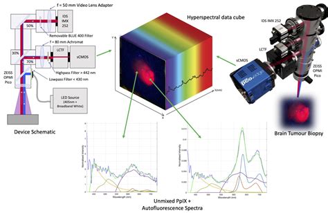 David Black Portfolio