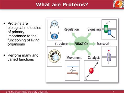 Protein Structure Alignment And Comparison Pdf