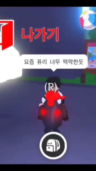 입양 펫 얻으면서 가장 신경 쓰였던 것 Youtube