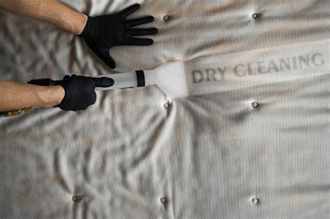 추출기 세탁 후 라인과 매트리스에 문자 드라이 클리닝 집에서 추출기로 매트리스 청소 집 가구의 얼룩 먼지 및 오물을 제거하기 위해 추출기로 드라이 클리닝 가사 집안일에 대한