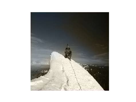 Automatic Colorization