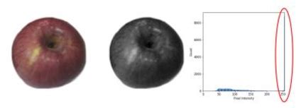 The Apple Dataset Image Styles Download Scientific Diagram