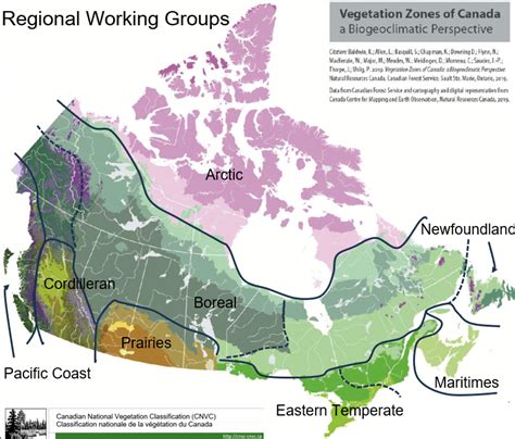 Canadian National Vegetation Classification Natureserve